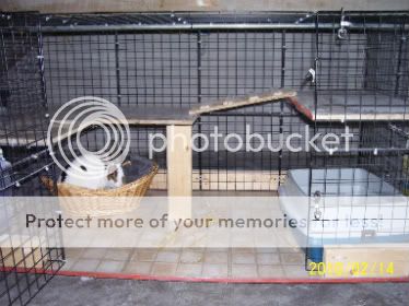 Flooring ideas for cube cages | Rabbits Online Pet Rabbit & Bunny Forum