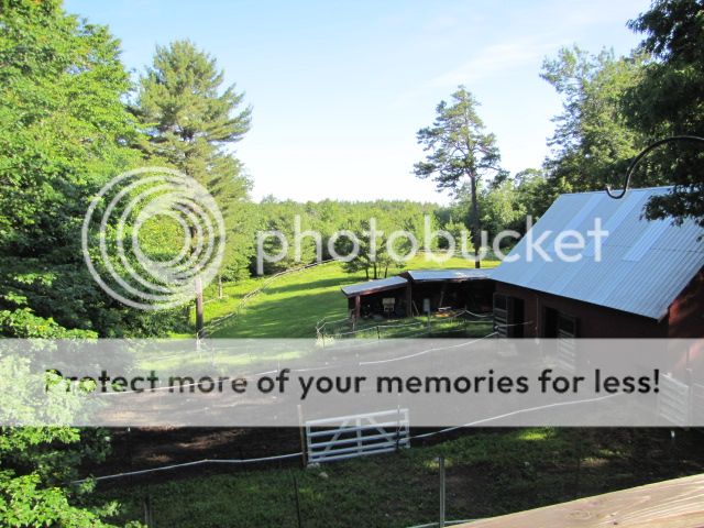 Summer Approaches | The Flying T Ranch Blog